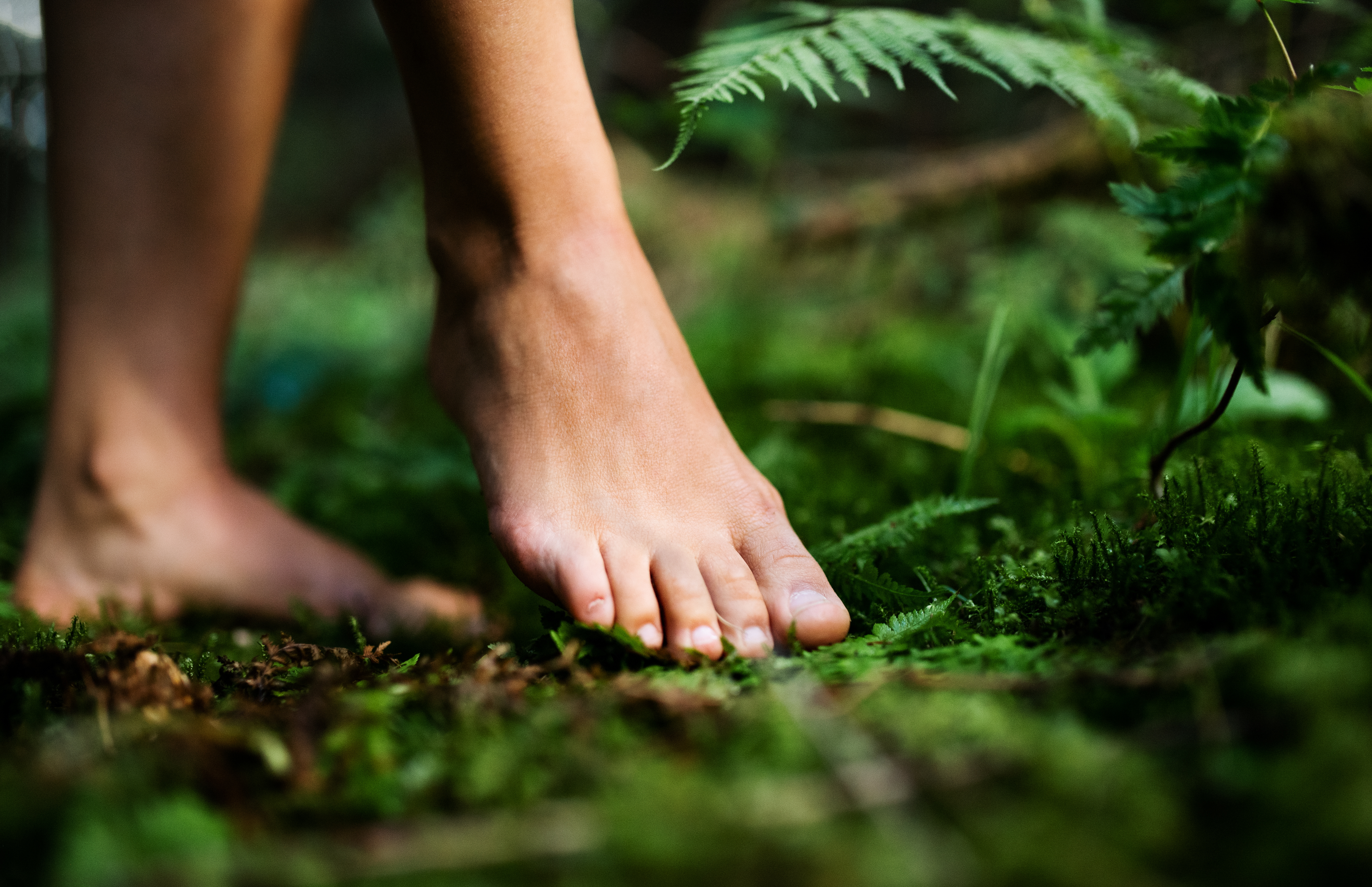 Blog | The Body's Earthly Connection