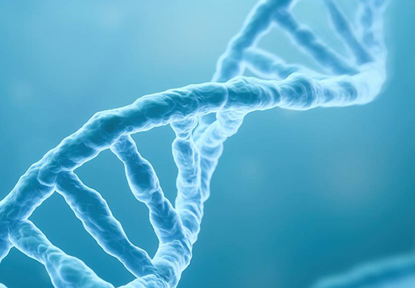 Blog | Cell Toxicity Unveiled